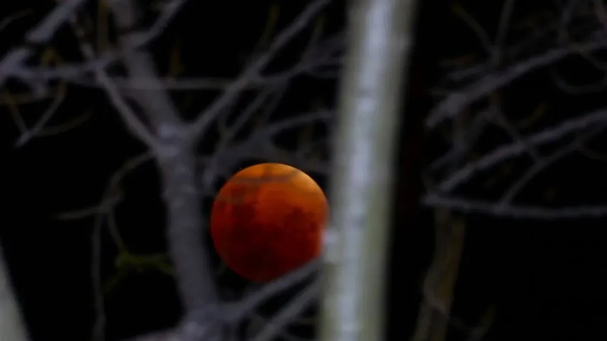 Concurso: la foto ganadora del eclipse es de Sebastián Bidondo
