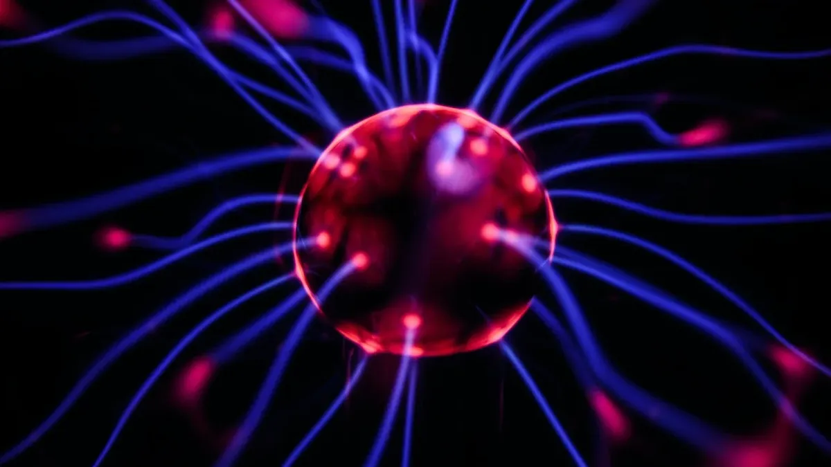 Las neuronas del corazón: descubrimientos de grandes médicos y ...