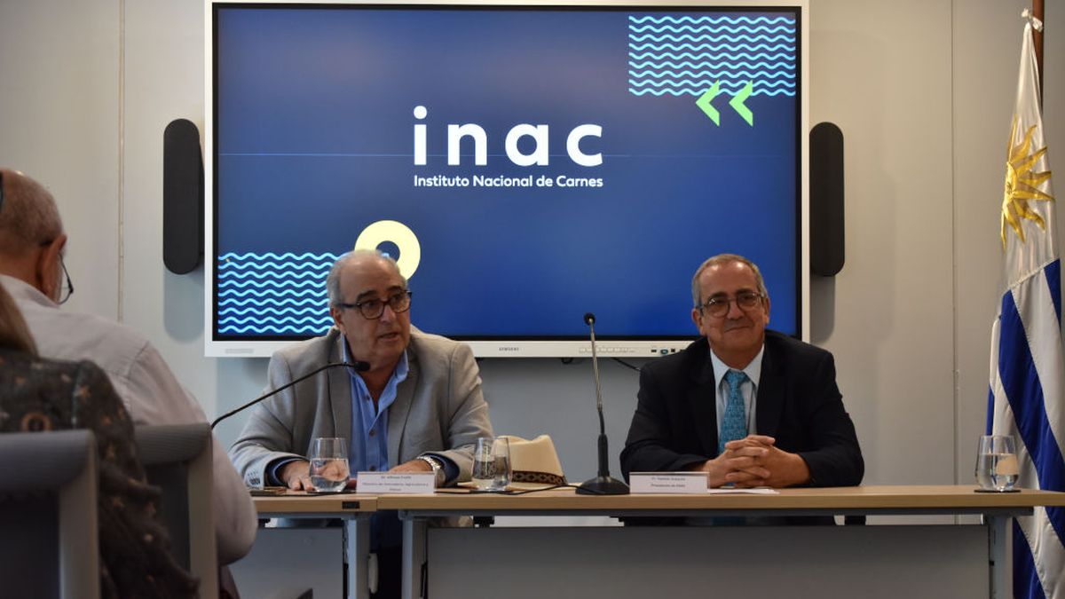 Gastón Scayola asumió como presidente del INAC y señaló tres bienes públicos para salir a vender ...