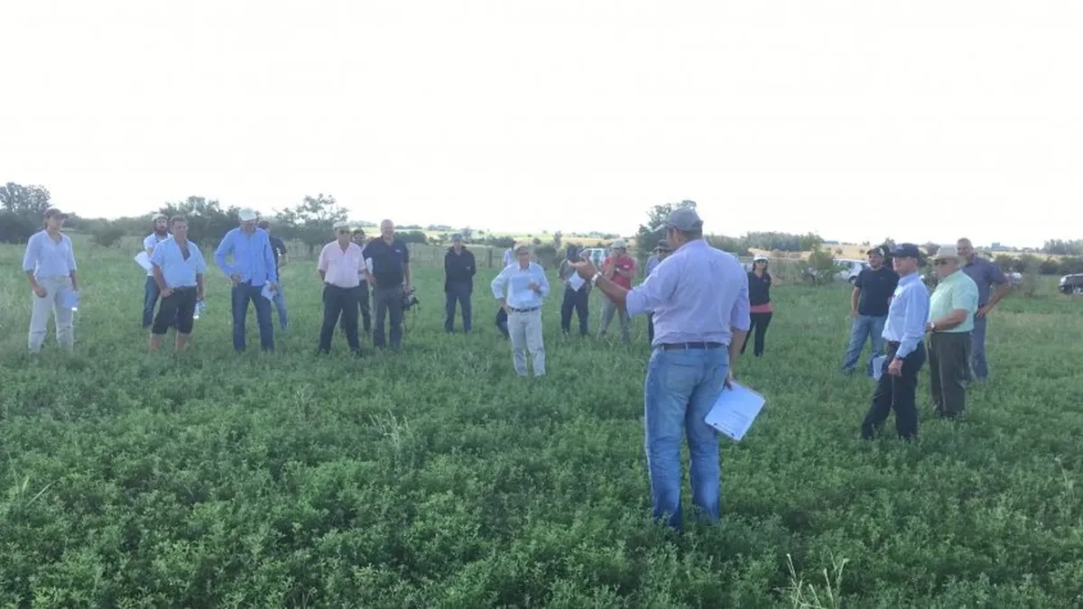 Ausid inició un ciclo de jornadas con el objetivo de volver a las bases