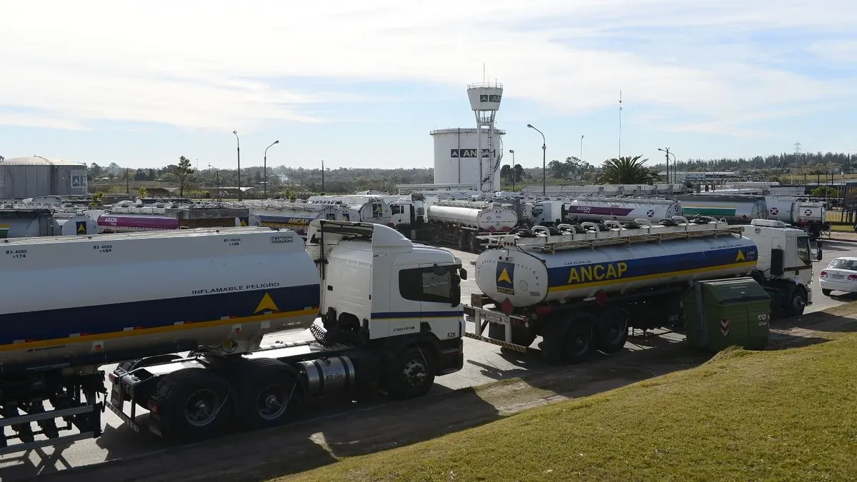 El caballito de batalla de Ancap que elevó 19% su ganancia este año