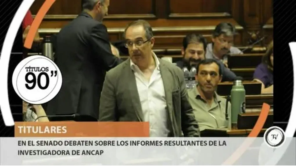 Debate en el Senado sobre informes de la investigadora de ANCAP