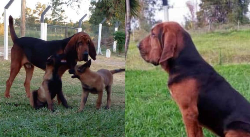 Alguien de la familia y era nuestros ojos: el recuerdo del entrenador ...