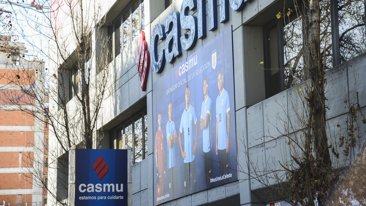 Gobierno aumentó potestades de interventores de Casmu: deberán dar ...