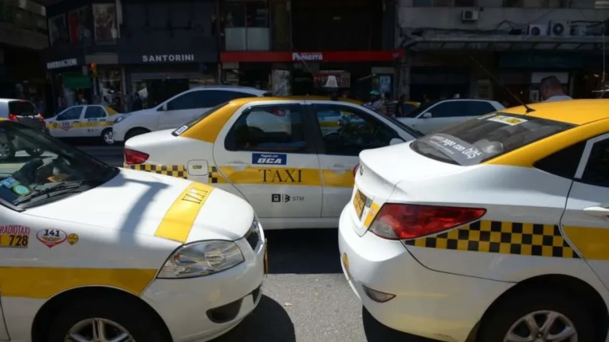 Así son las medidas que deberán tener los taxis de Montevideo