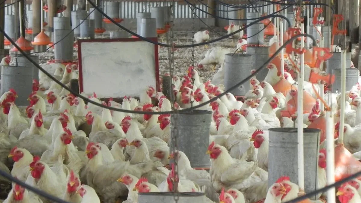Asociación de Façoneros de Pollos Unidos activó relevamiento de perjuicios