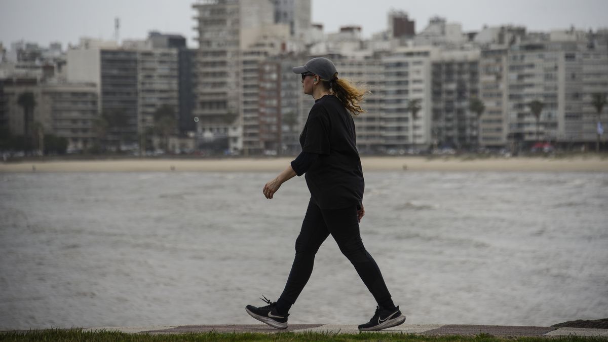 Clima en Uruguay: lo que hay que saber según Inumet para este domingo 9 de marzo en Uruguay