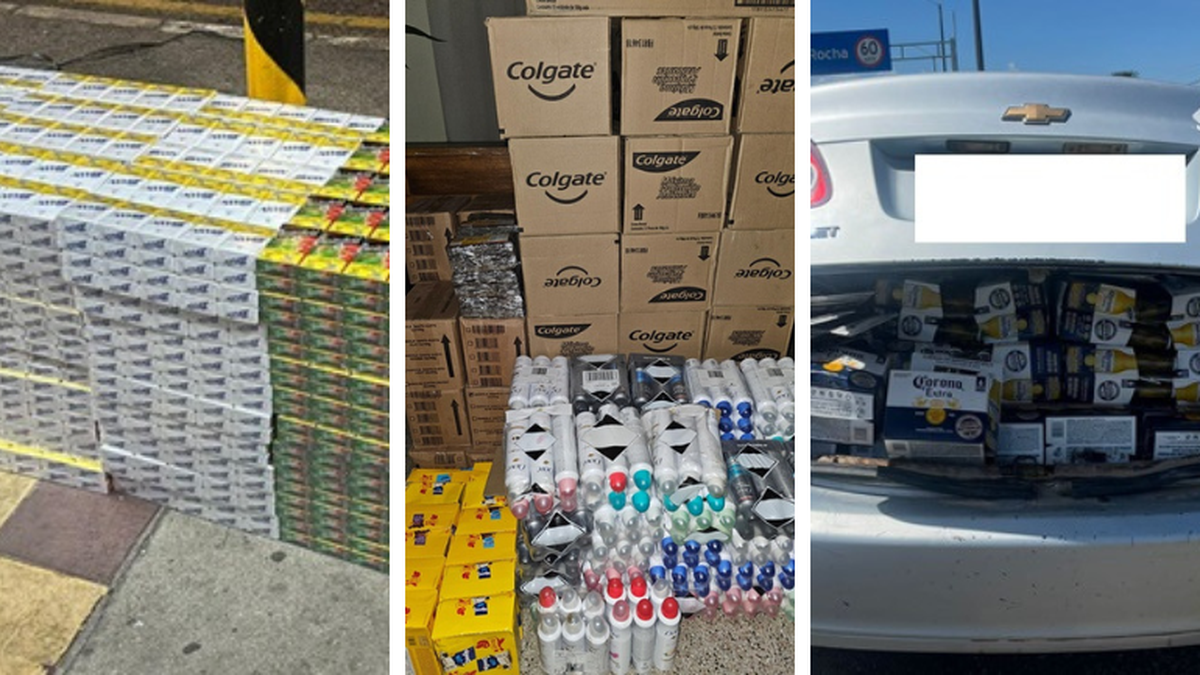 Golpe al contrabando: Aduanas decomisó mercadería valuada en casi 9 millones de dólares