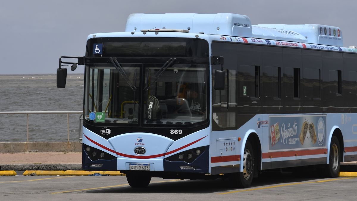 Montevideo suma 50 nuevos ómnibus eléctricos: Cutcsa anuncia que ...