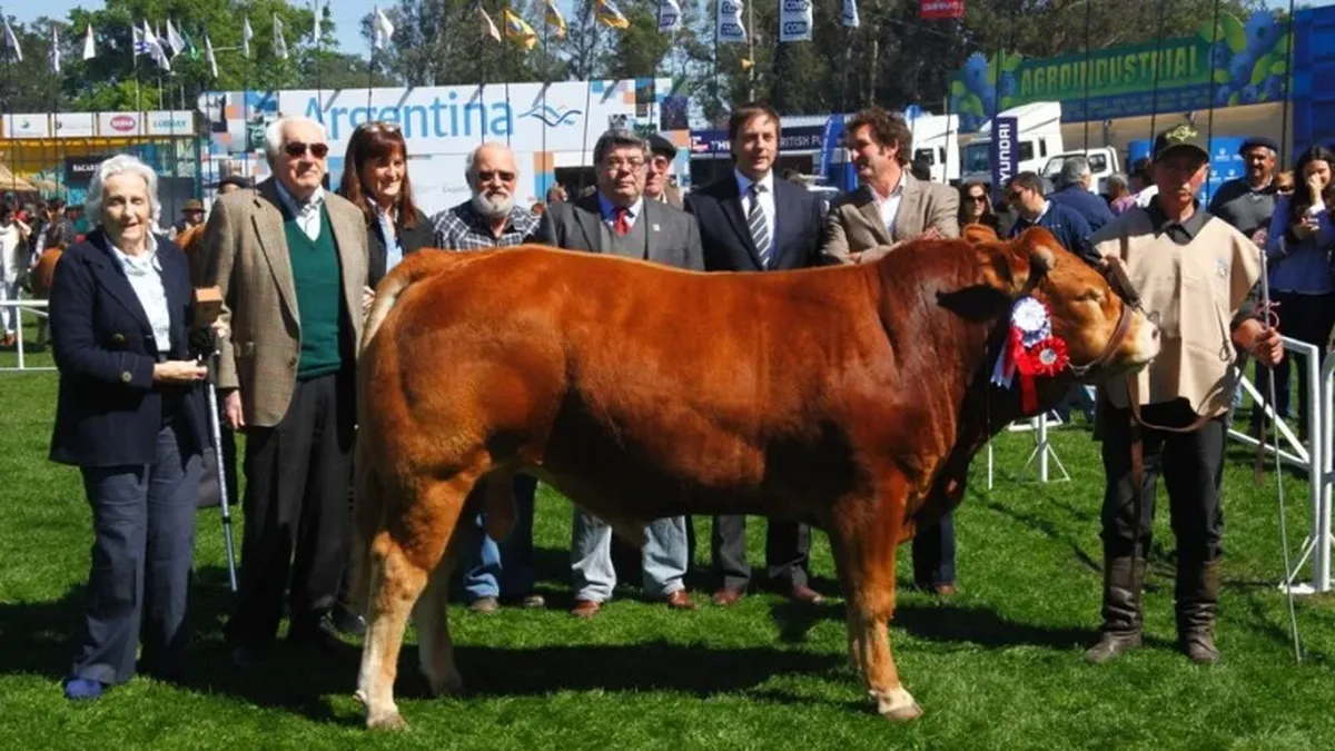 La cocarda más valiosa en el Limousin la cosechó Julio Severi