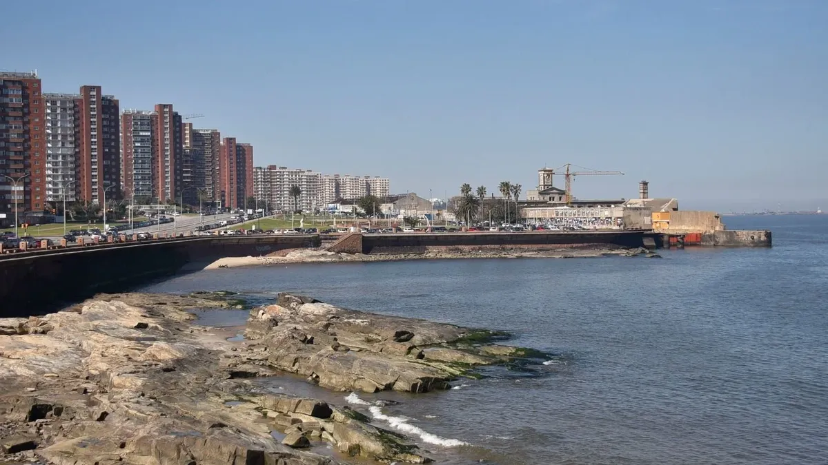 Gran área de picnic con un balcón al río: la intendencia dio detalles ...