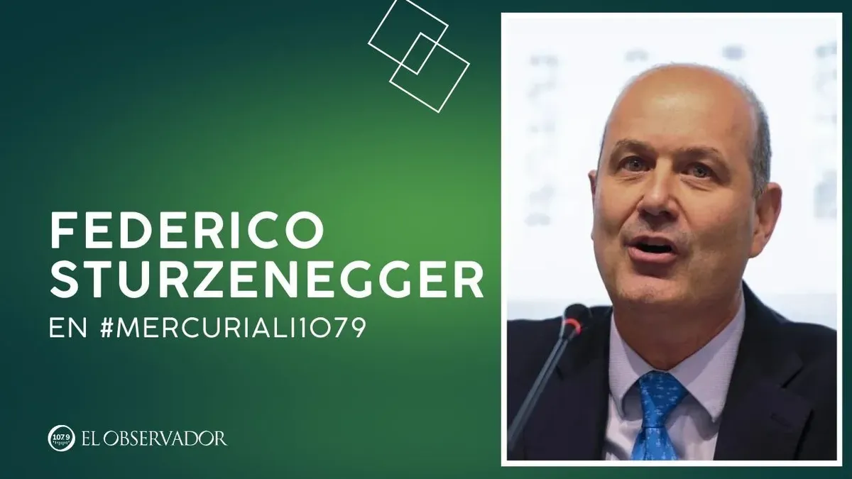 Federico Sturzenegger: Este DNU busca marcar un cambio de rumbo en la ...