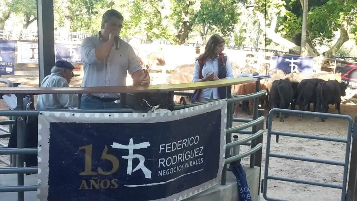 Zona Angus con 300 negros y colorados