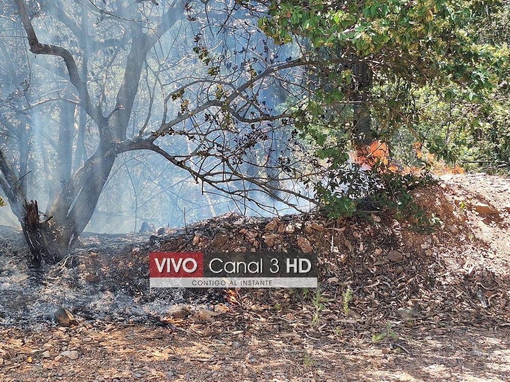 Helicópteros trabajan en incendio en Minas para evitar la propagación ...