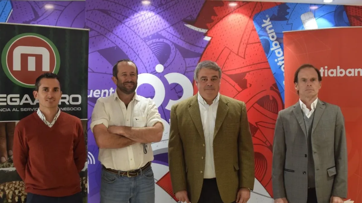 Vuelven los Aberdeen Angus de El Yunque, con el martillo de MegaAgro