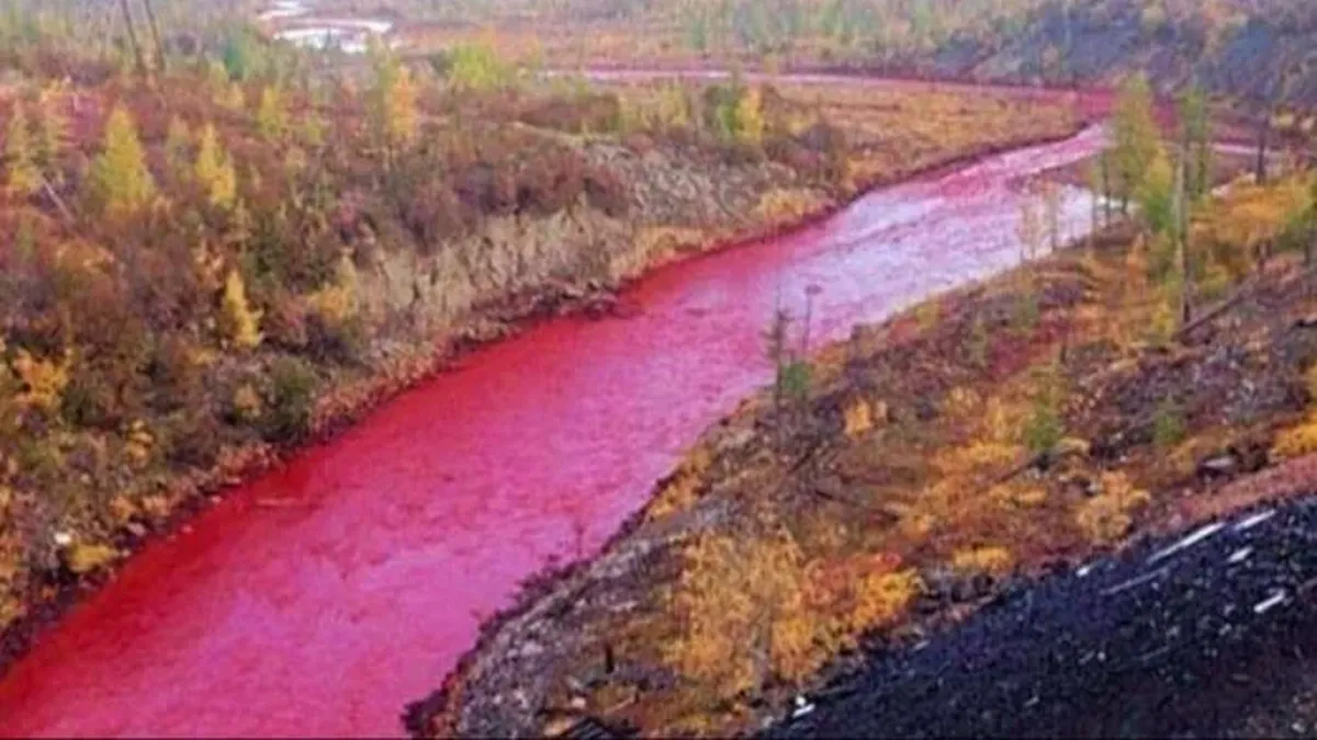 El río Nilo teñido de rojo que revolucionó las redes: cuáles pueden ser ...