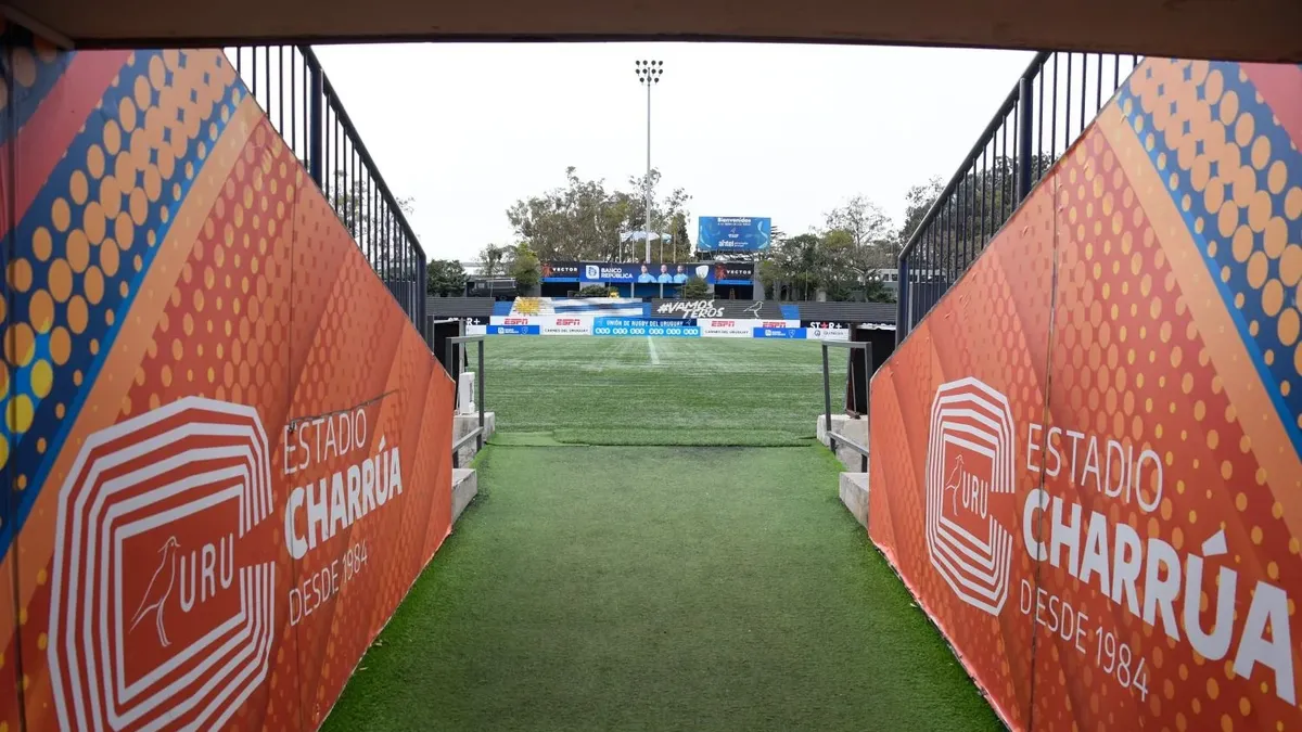 Un viaje al corazón del Charrúa: así evolucionó la Tierra de Los Teros ...