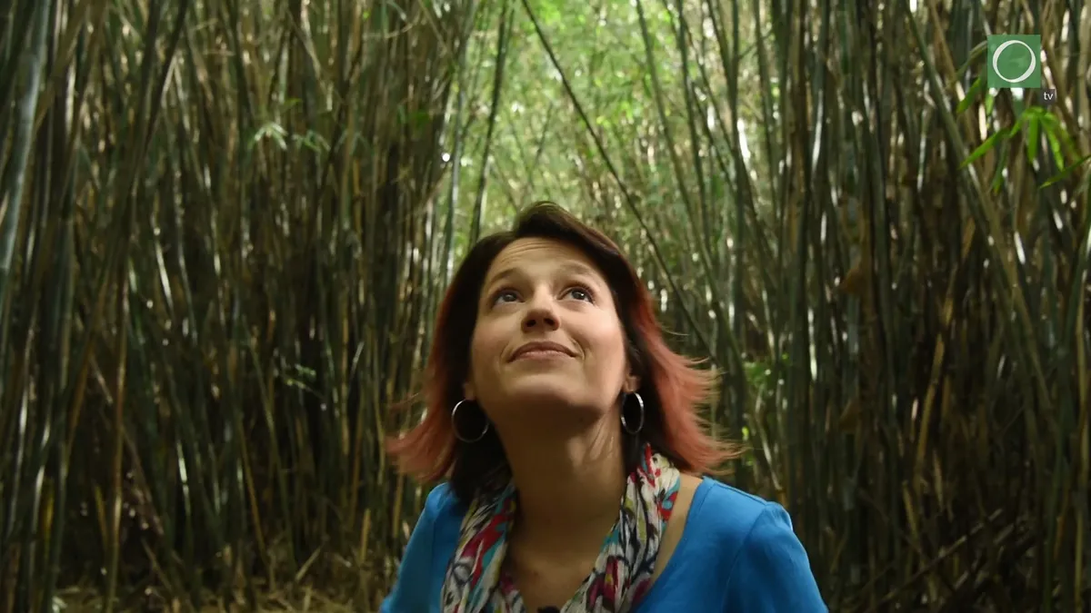 Patrimonio escondido: los misterios de la quinta Capurro