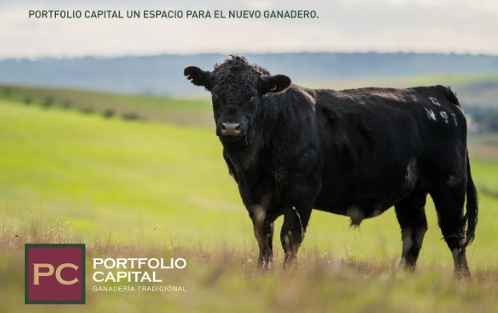 Portfolio Capital debe US$ 15 millones a 403 inversores y operaba con un fondo no autorizado que ...