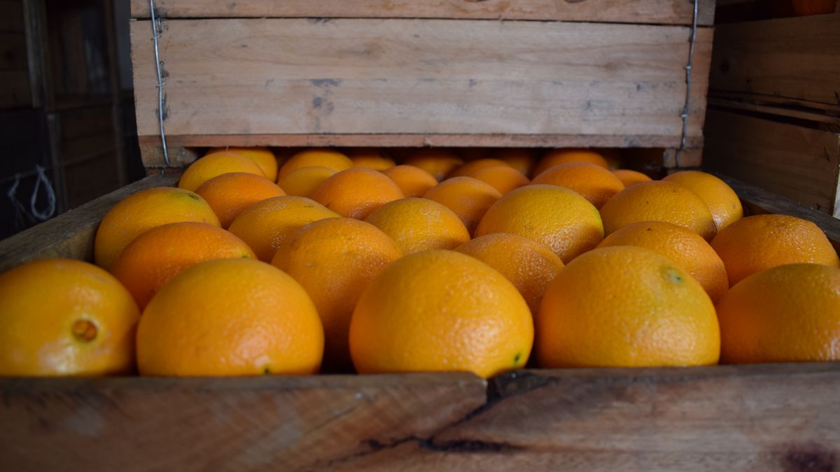 Tres kilos de naranjas por $ 100 y el resto de los precios de ...