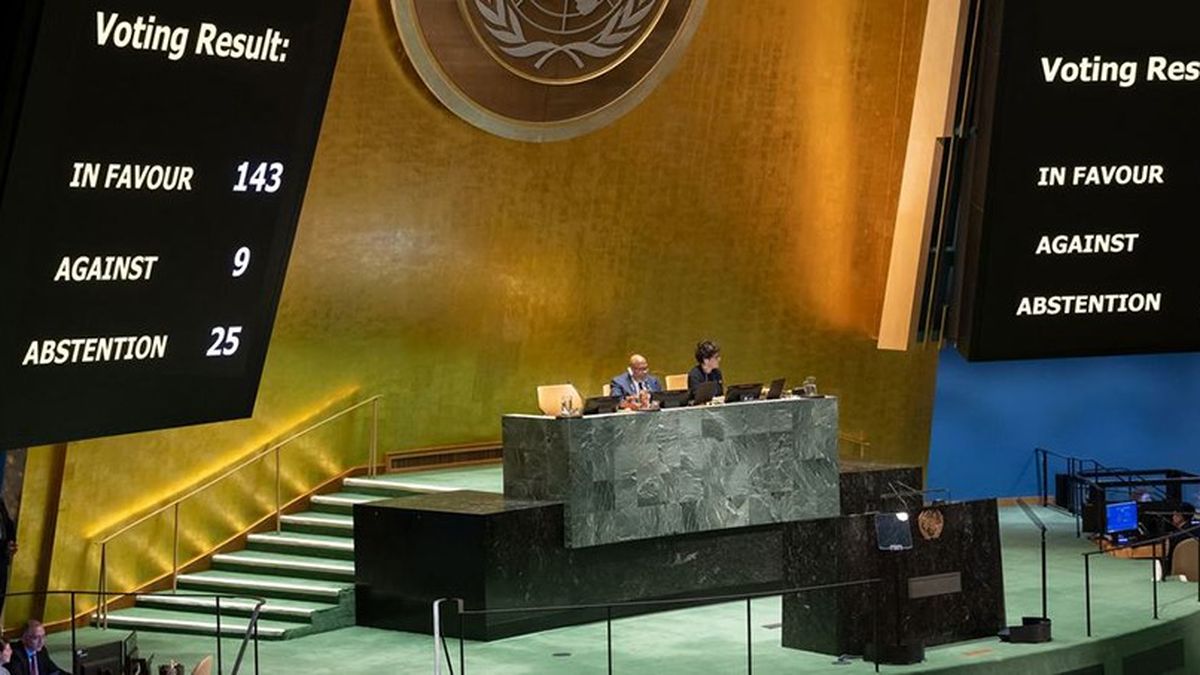 La ONU, el faro del pensamiento woke, tan cerca de Sandra Bullock