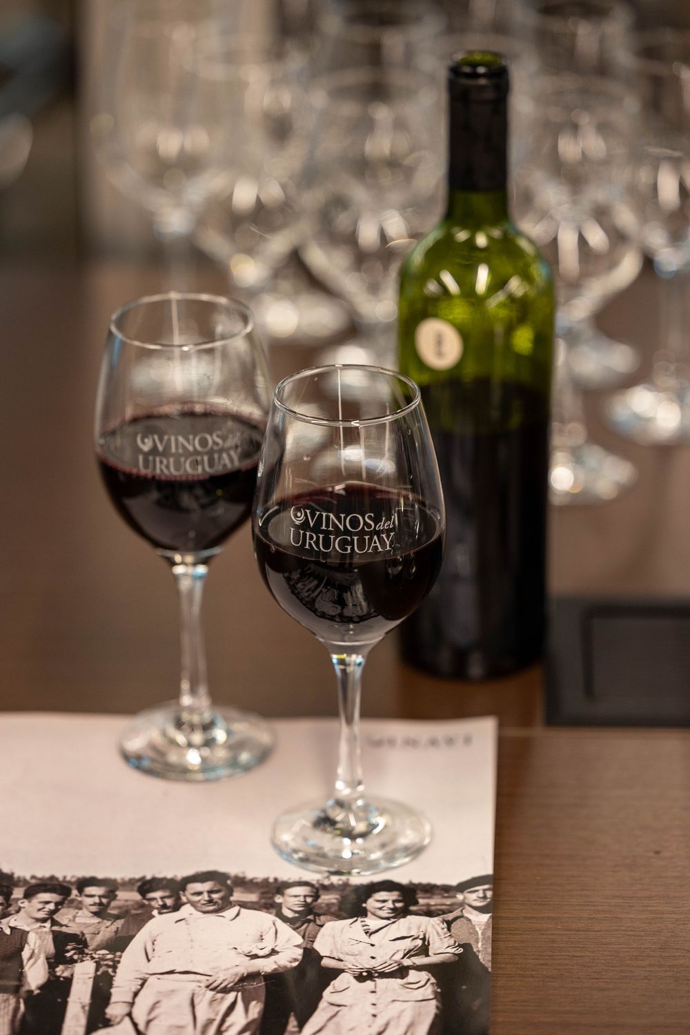 Vitivinicultura, patrimonio que celebra 150 años de viña y vino en Uruguay, legado de Harriague ...