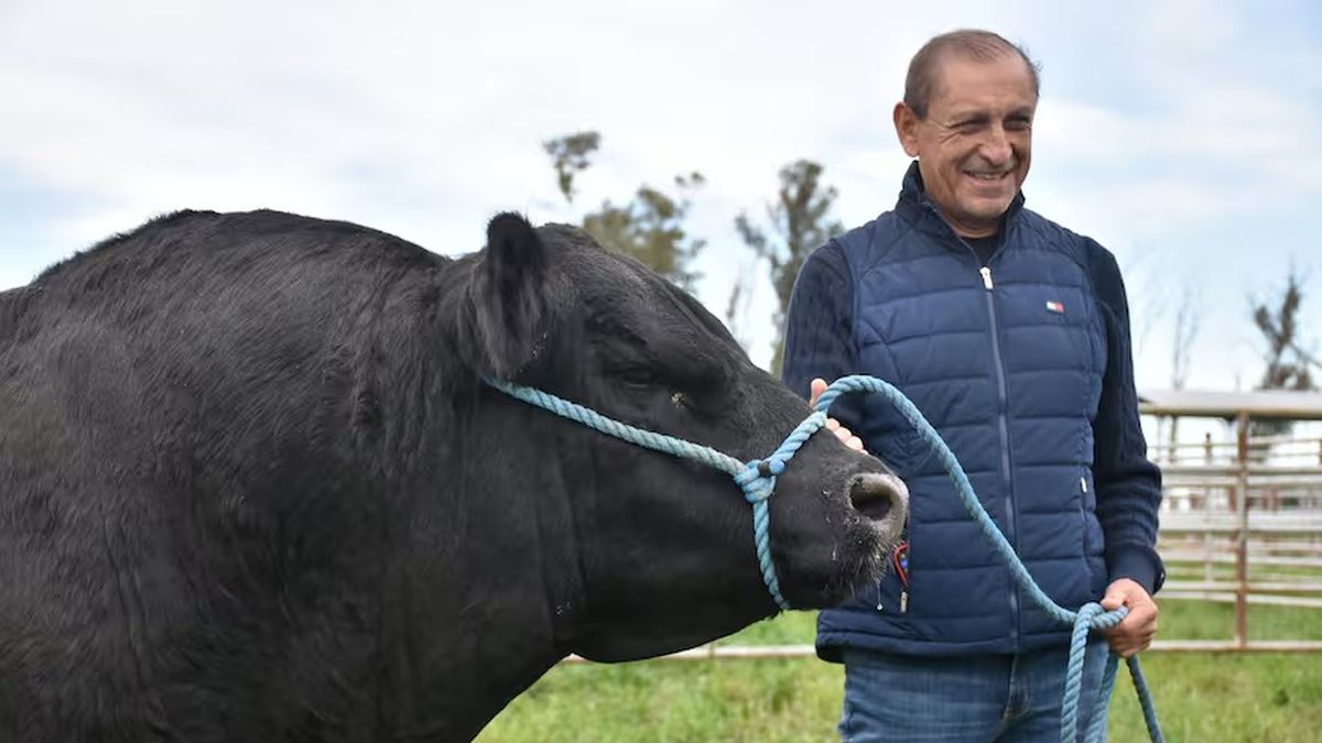 La Legislatura de La Rioja aprobó expropiar 4.586 hectáreas al ...