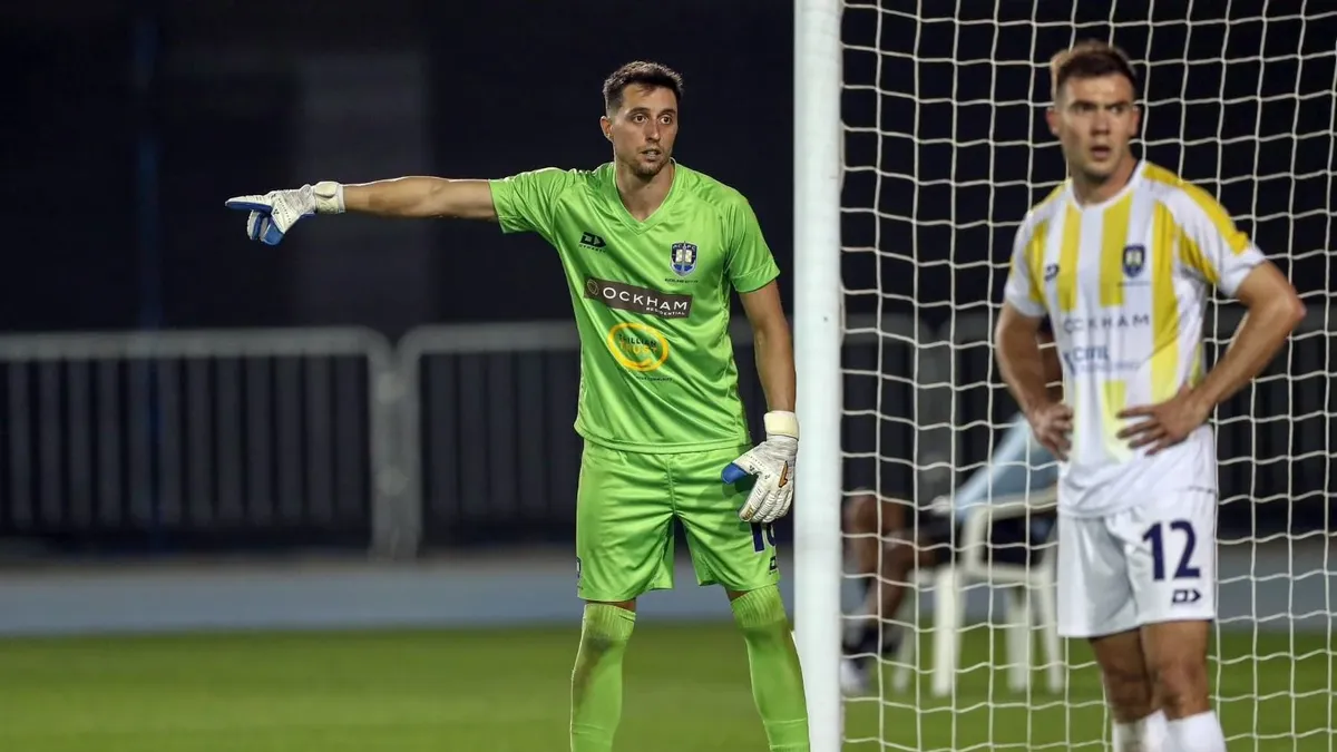 Le Roux Malan suffered a horrific injury in New Zealand-Namibia