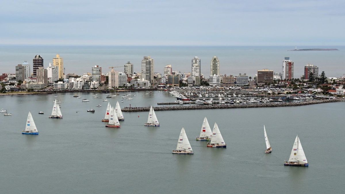 La Clipper Race llega otra vez a Punta del Este que se prepara para ...