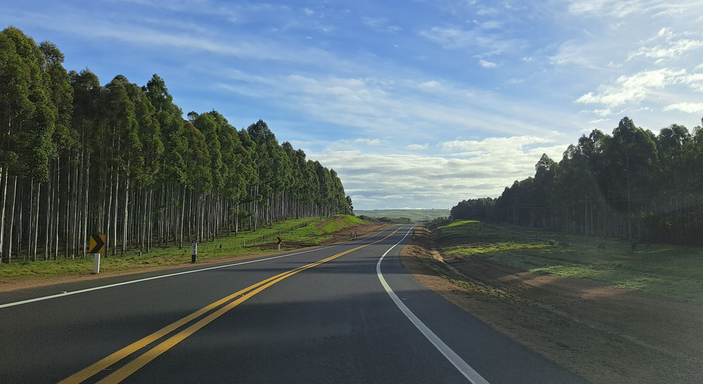 ¿A dónde vamos si no vamos seguros? El desafío global que Uruguay no ...