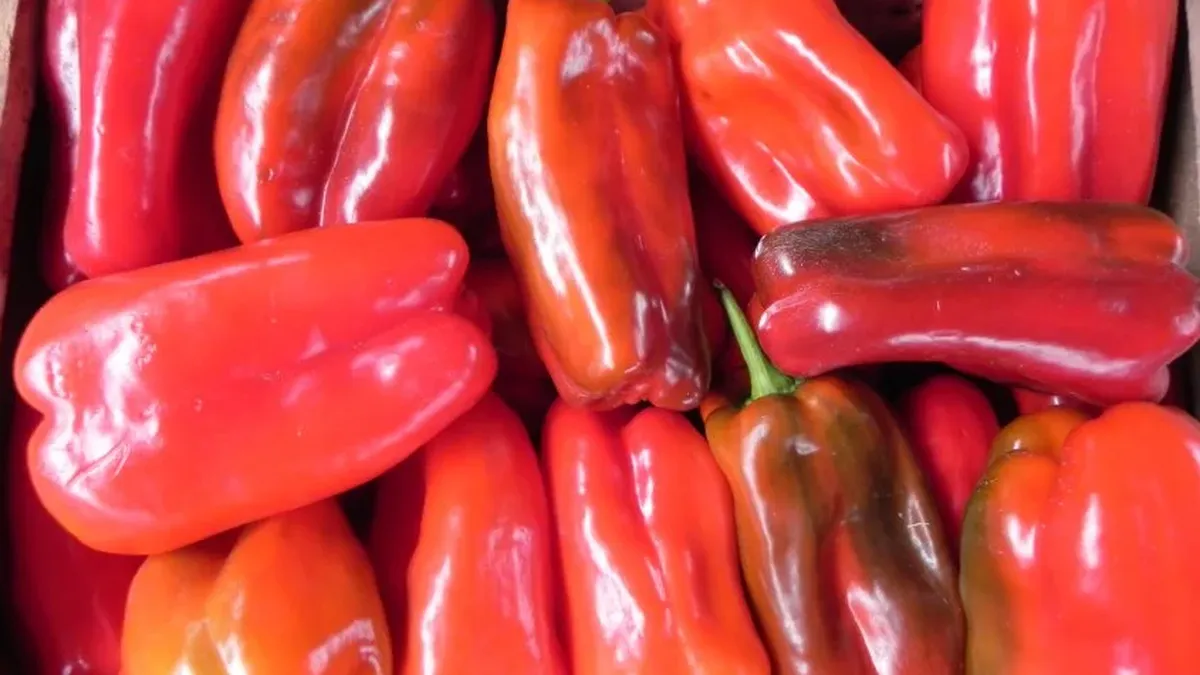 El precio del morrón cae hasta 40% en un año