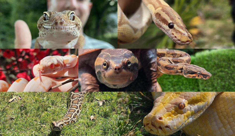 Alternatus Uruguay abre las puertas de un nuevo centro en Maldonado ...