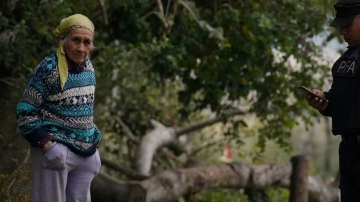 Giro en el Caso Loan | Lo enterraron en el monte: las declaraciones de ...