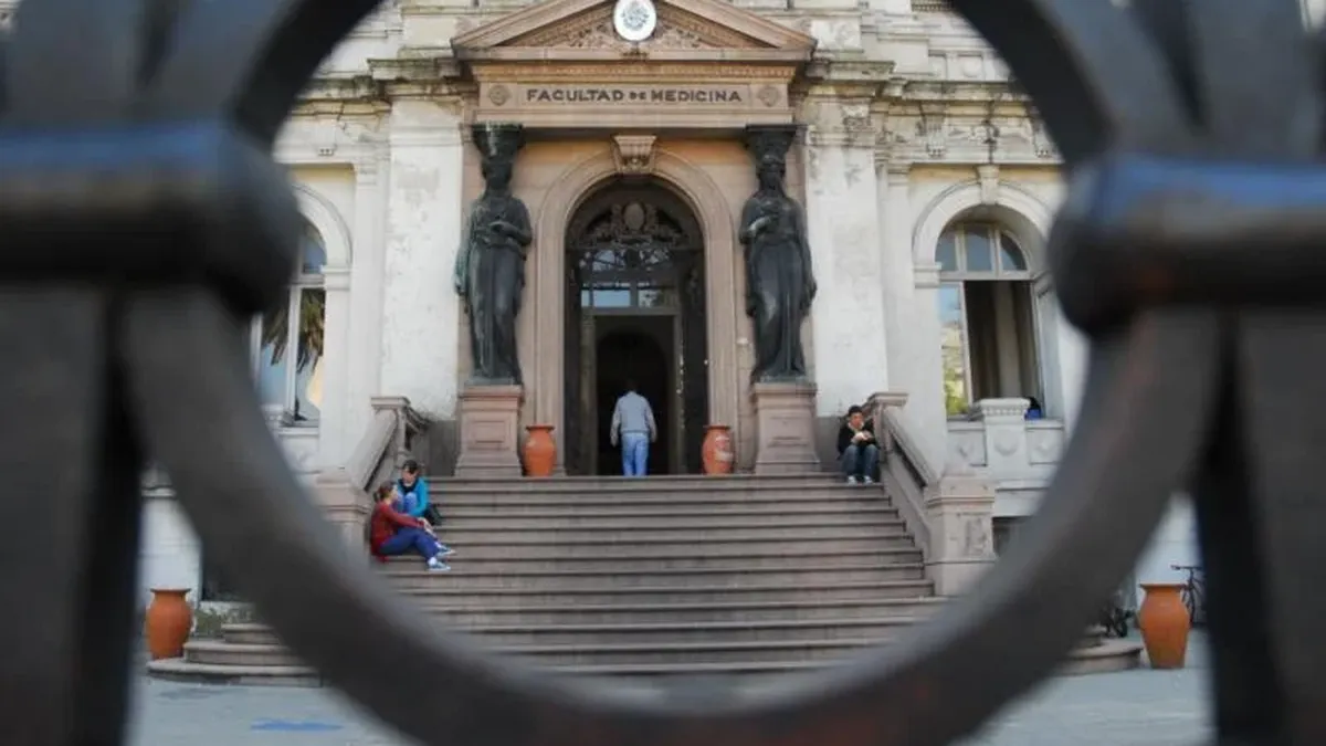 Facultad de Medicina definió reducir guardias de 24 a 12 horas para ...
