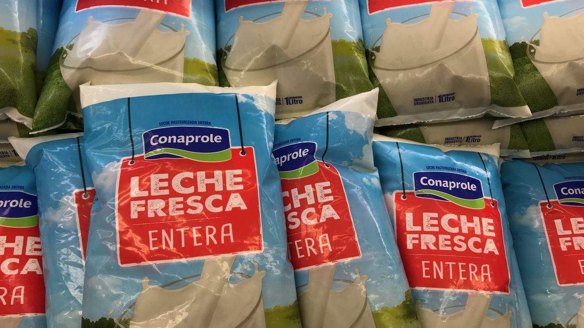 Nuevo precio tarifado para el litro de leche fresca, a partir de este ...