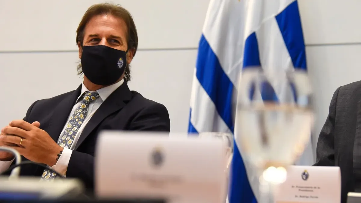 Alexandre Grendene, el empresario brasileño que presta su avión para el ...