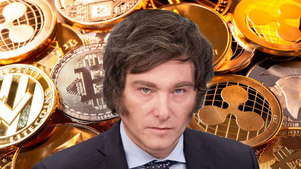 Javier Milei promocionó un token y su valor se disparó: ¿inversión ...