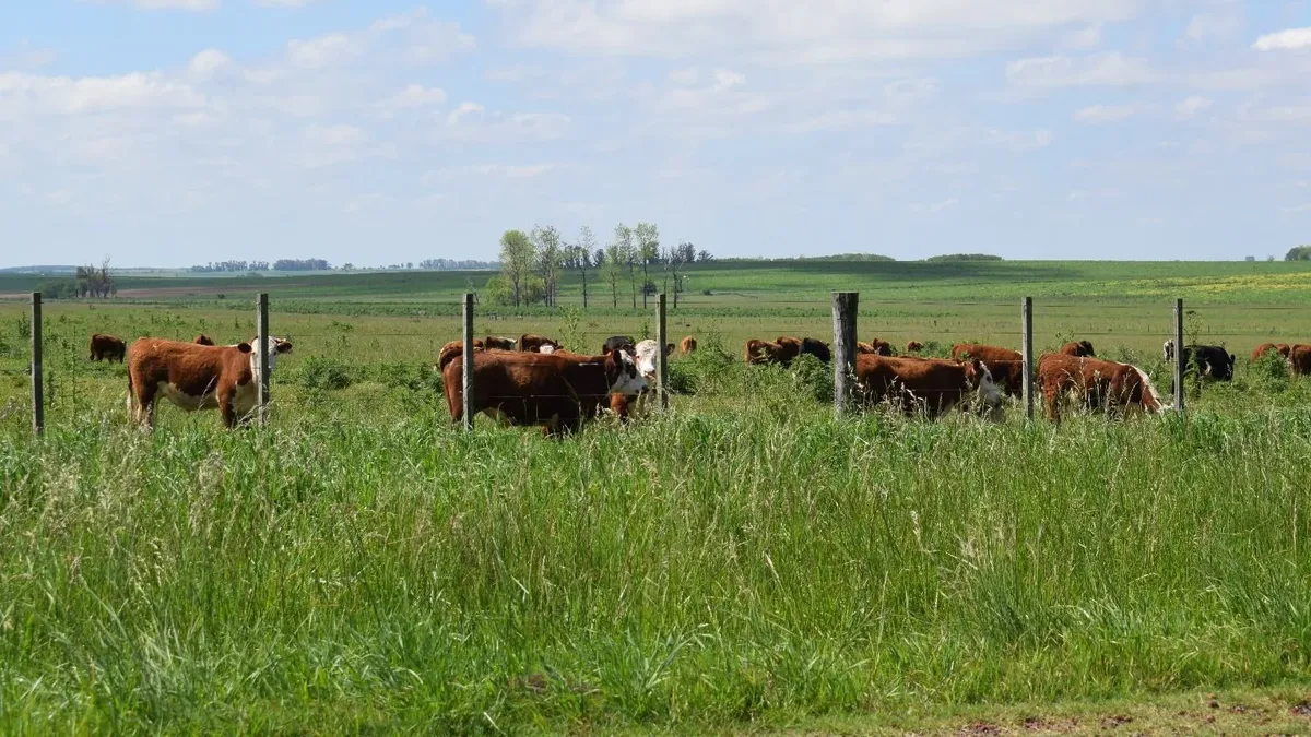 Competitividad sustentable: Uruguay, primero en el mundo por su capital ...