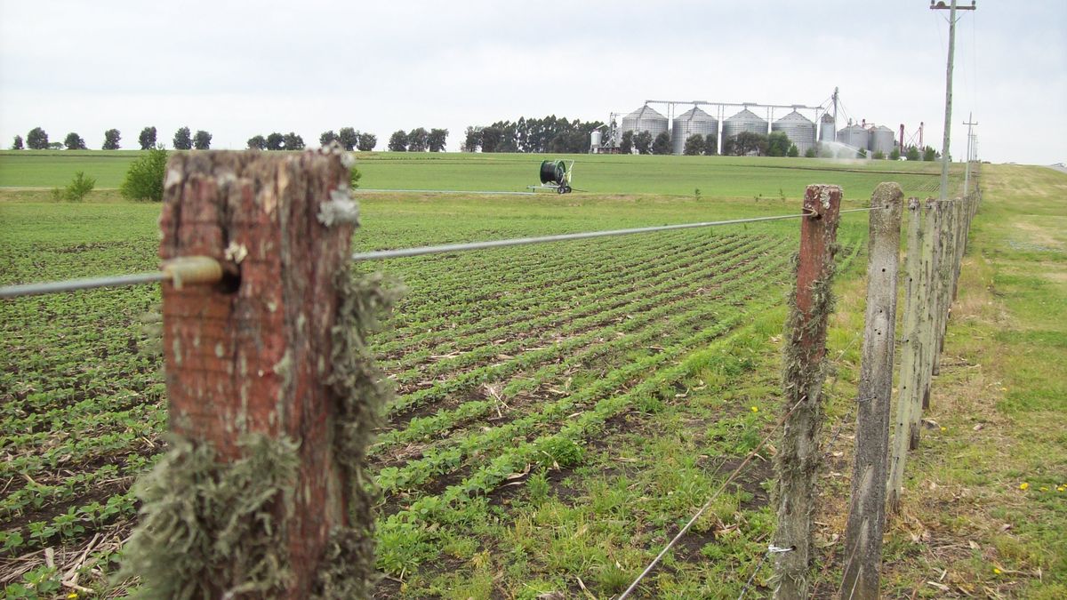 Encalado de suelos, de qué se trata y el cambio legislativo que ...
