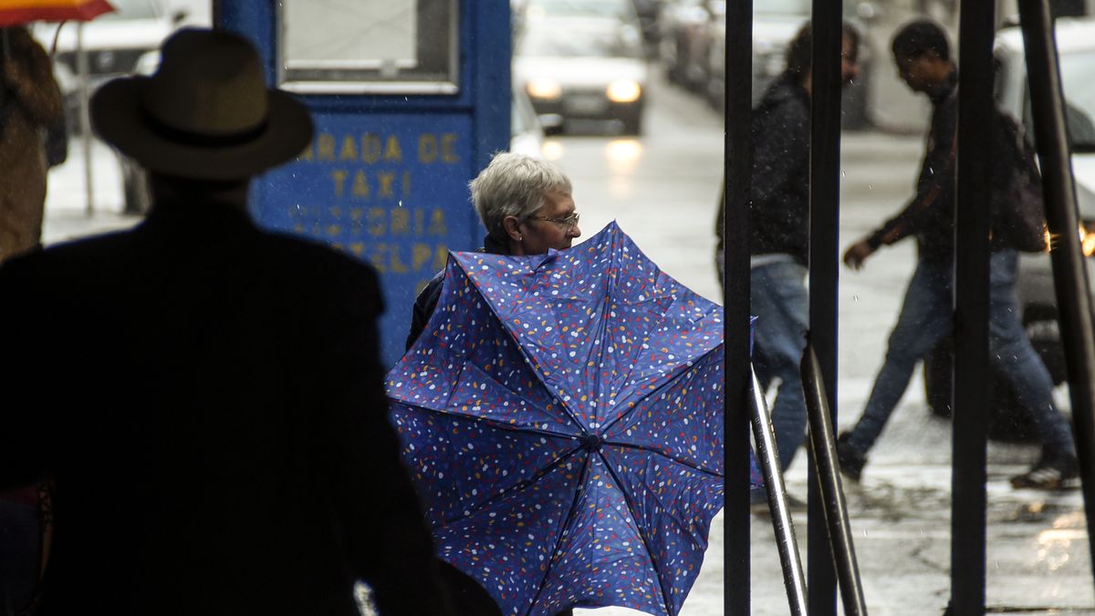 El secreto de una dama famosa manhwa