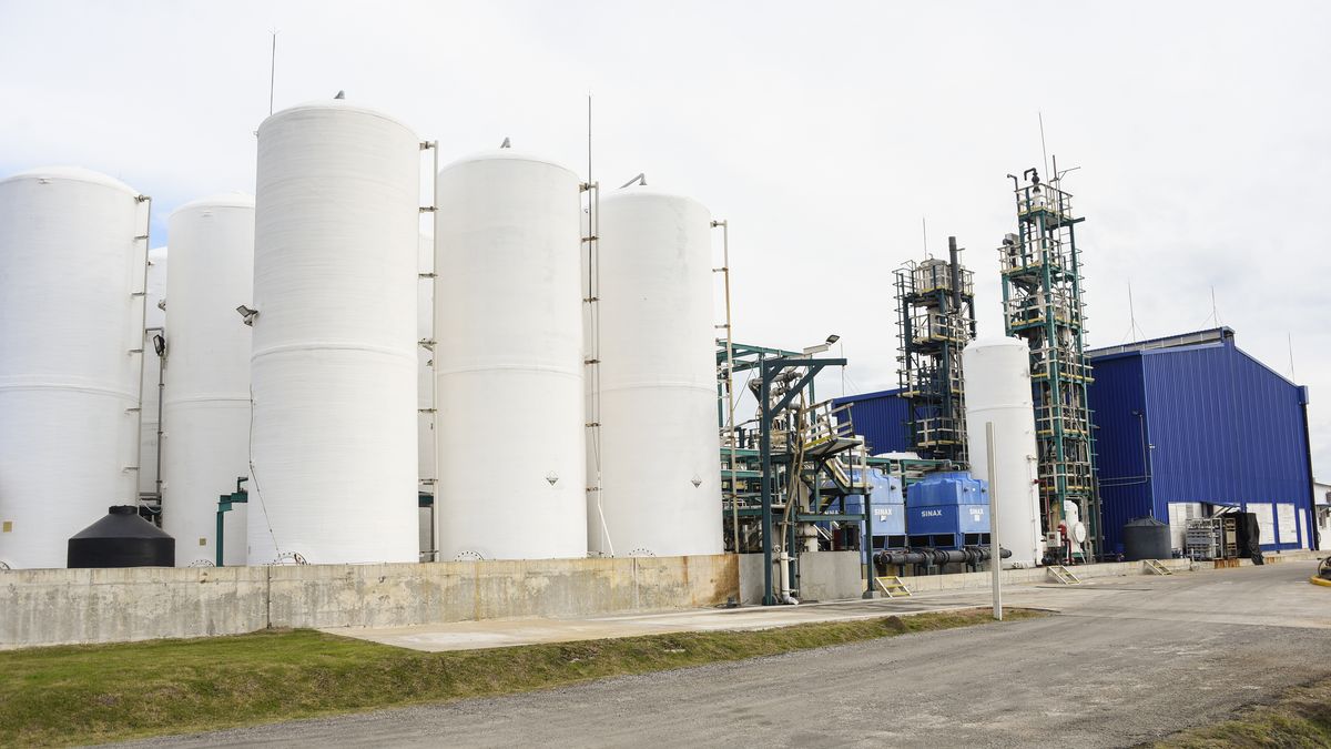 Alliance cuestiona pedido de prórroga de Efice: Las reglas deben ser ...