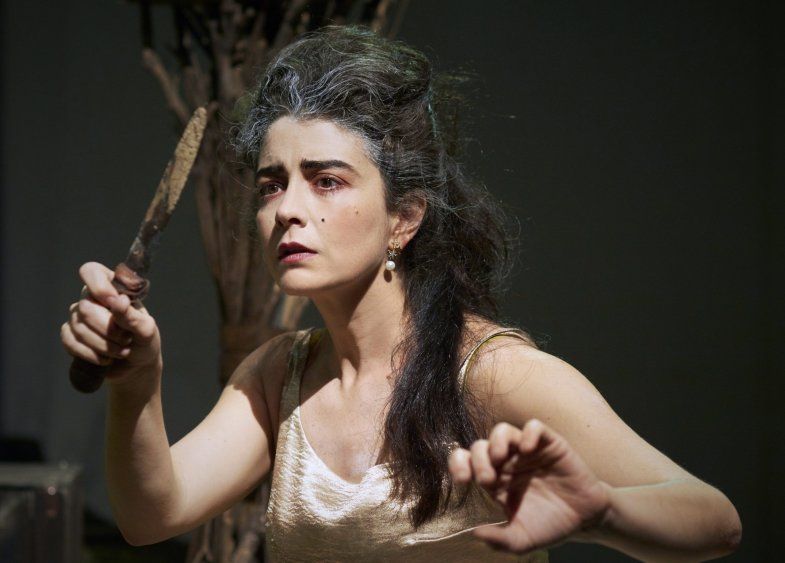 Llegan Érica Rivas, Cecilia Roth y Enzo Vogrincic actúa para la Comedia ...